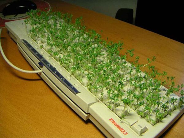 Creative ways to make use of old computer hardware (16 pics)