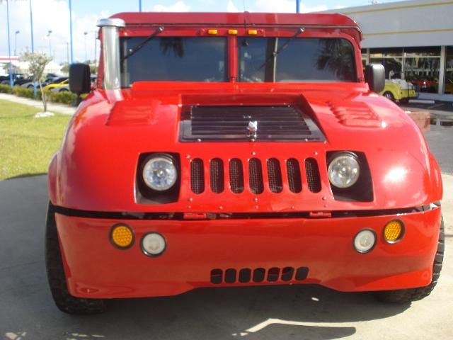 Modified Hummer H1 (19 pics)