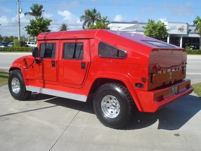 Modified Hummer H1 (19 pics)