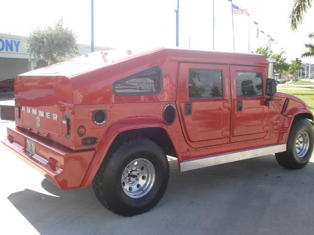 Modified Hummer H1 (19 pics)