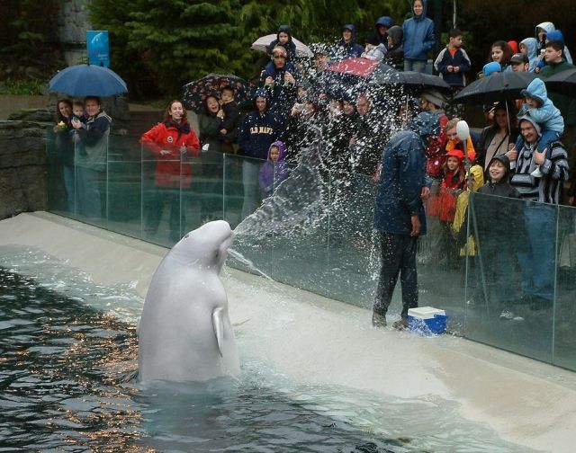 Acid Picdump (83 pics)