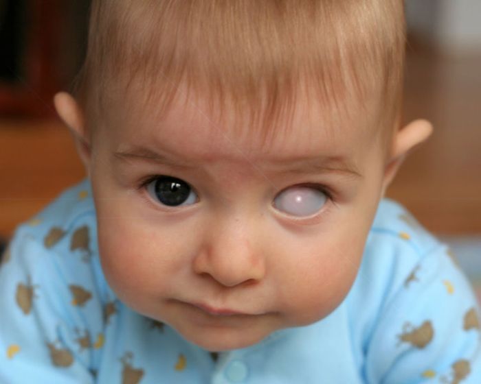 Scary manipulated pictures (16 pics)