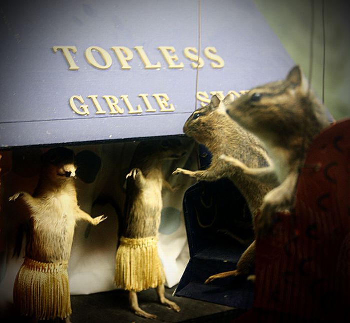 Crappy Taxidermy (60 pics)