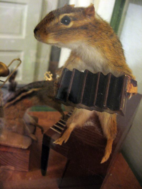 Crappy Taxidermy (60 pics)