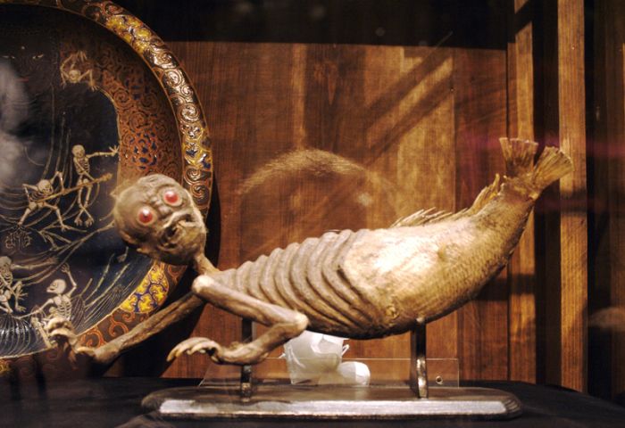 Crappy Taxidermy (60 pics)