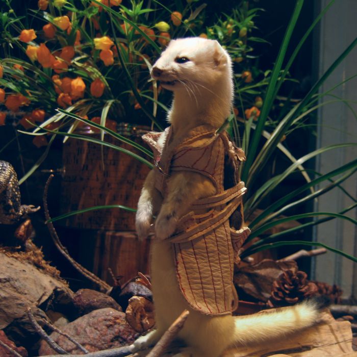 Crappy Taxidermy (60 pics)