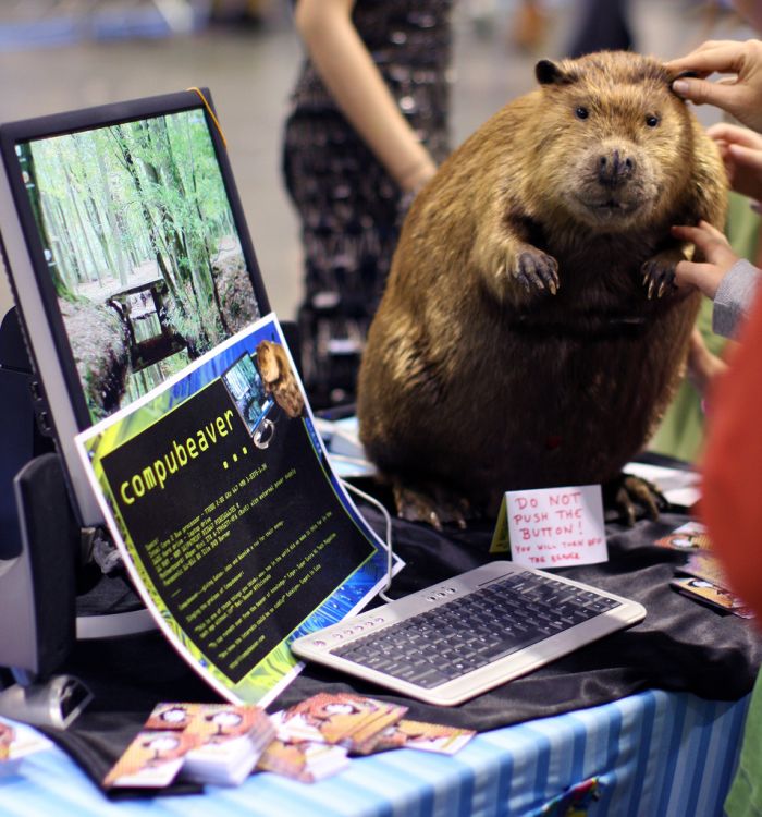 Crappy Taxidermy (60 pics)