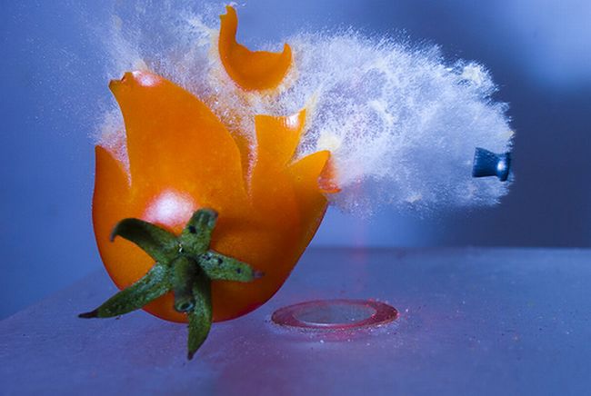 Amazing High Speed Photography by Alan Sailer (99 pics)