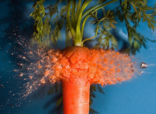 Amazing High Speed Photography by Alan Sailer (99 pics)