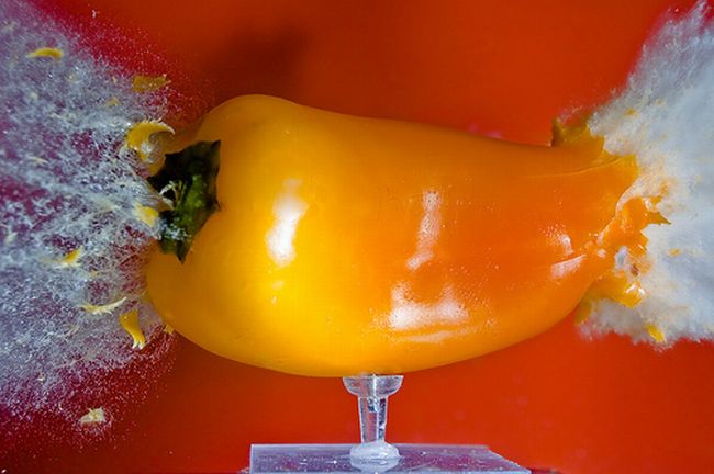 Amazing High Speed Photography by Alan Sailer (99 pics)