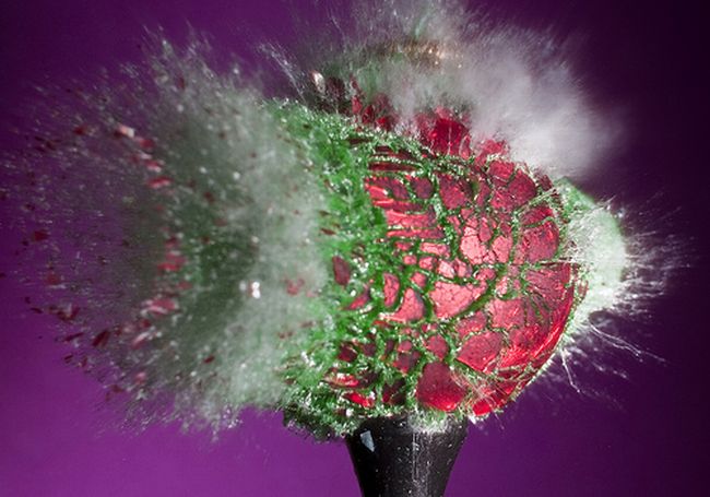 Amazing High Speed Photography by Alan Sailer (99 pics)