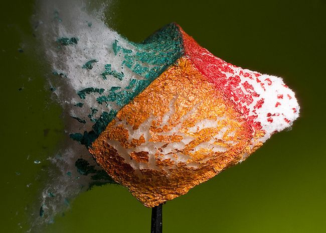 Amazing High Speed Photography by Alan Sailer (99 pics)