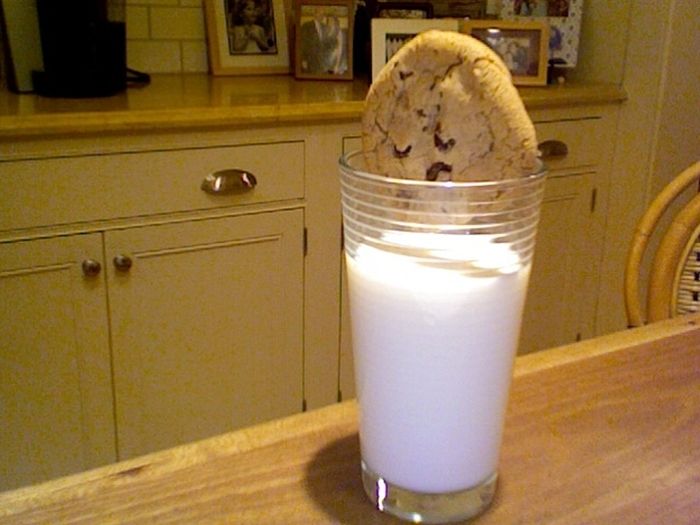 Absolute Worst Things In The World 20 Pics Absolute Worst Things In The World 20 Pics