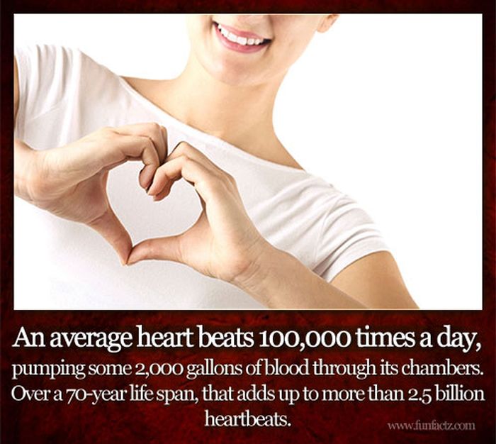 Fun Facts 50 Pics 