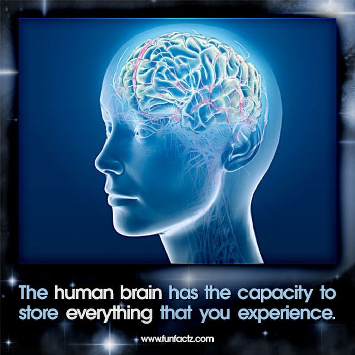 Fun Facts 50 Pics 