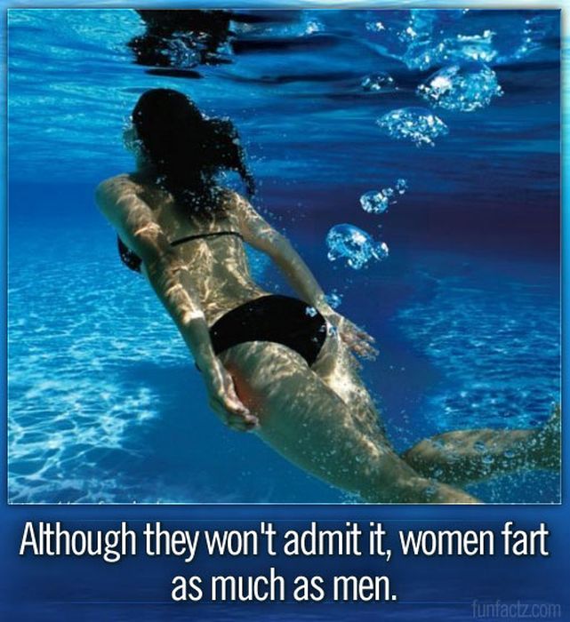 Fun Facts 50 Pics 
