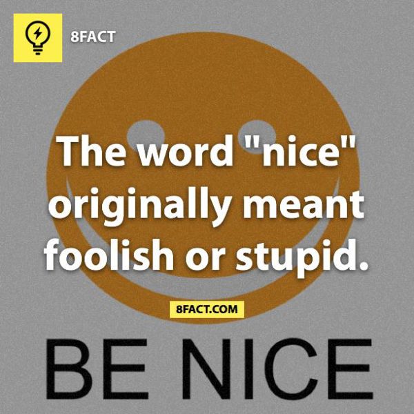 Totally Useless Facts 25 Pics Totally Useless Facts 25 Pics