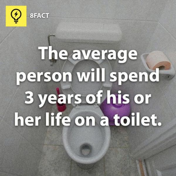 Totally Useless Facts 25 Pics Totally Useless Facts 25 Pics