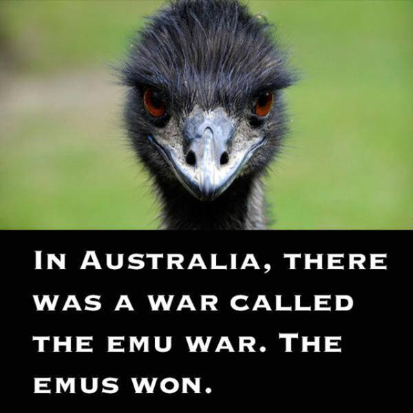 Strange Facts That Are True 30 Pics Strange Facts That Are True 30 Pics