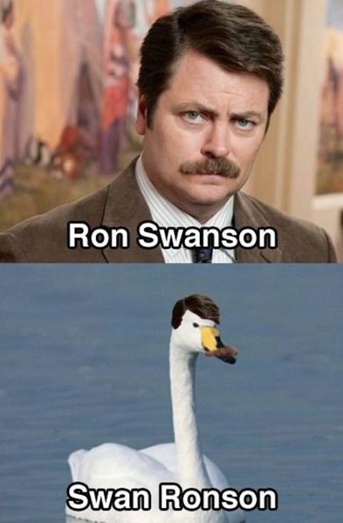 Clever People Turned These Celebrity Names Into Something Hilarious 40 Clever People Turned These Celebrity Names Into Something Hilarious 40