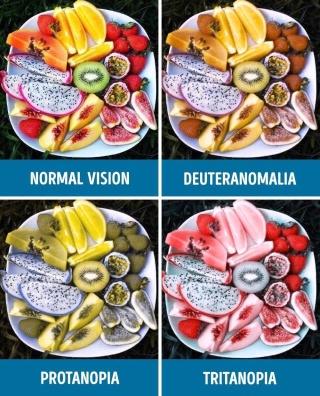 How People With Different Types Of Color Blindness See The World 11 Pics 