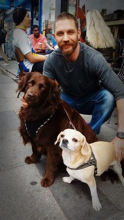 Tom Hardy Really Seems To Love Dogs (11 pics) Tom Hardy Really Seems To Love Dogs (11 pics)
