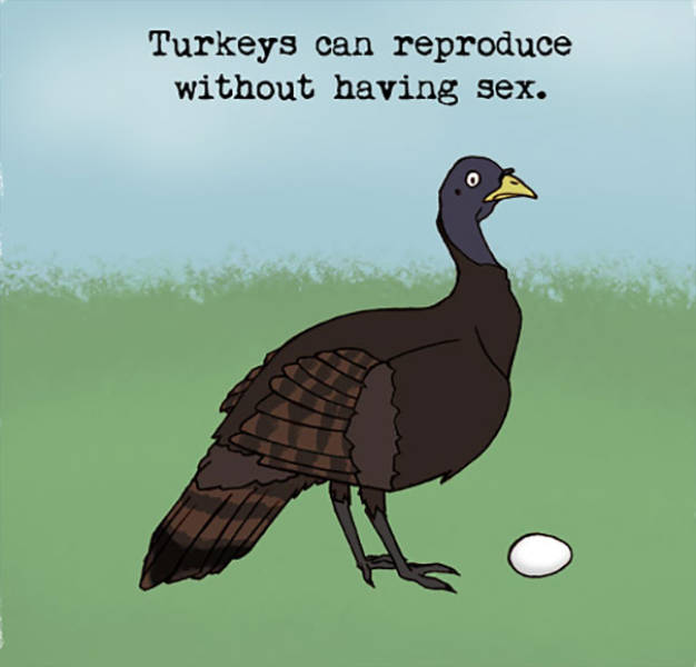 Animal Facts 30 Pics Animal Facts 30 Pics
