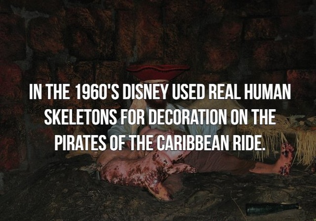 Scary Facts (21 pics)