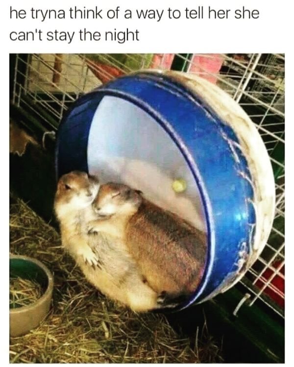 Random Funny Pictures 24 Pics Random Funny Pictures 24 Pics