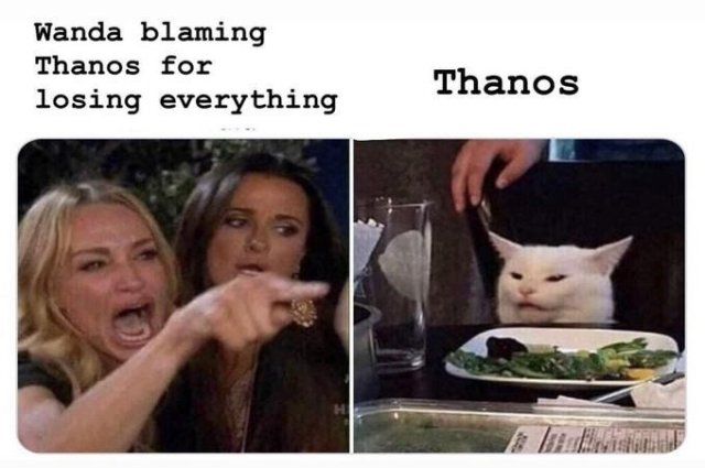 Angry Yelling At Cat Meme Ruccadesigns