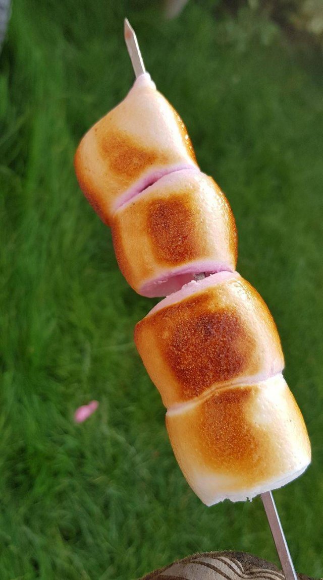 Unusual Things (18 pics) Unusual Things (18 pics)