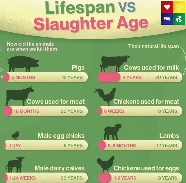 Interesting Data 26 Pics 