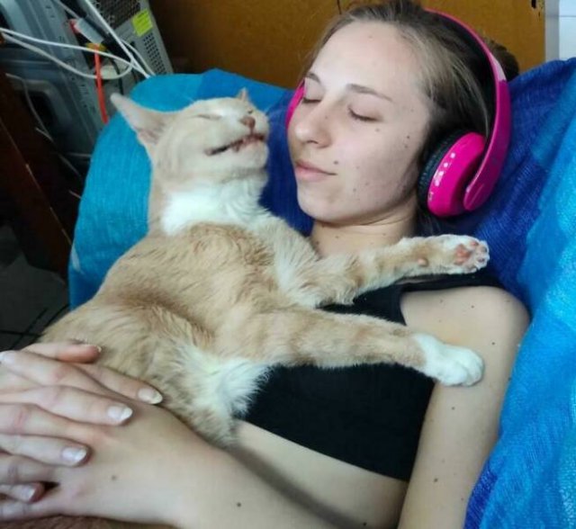 Funny Cats 25 Pics