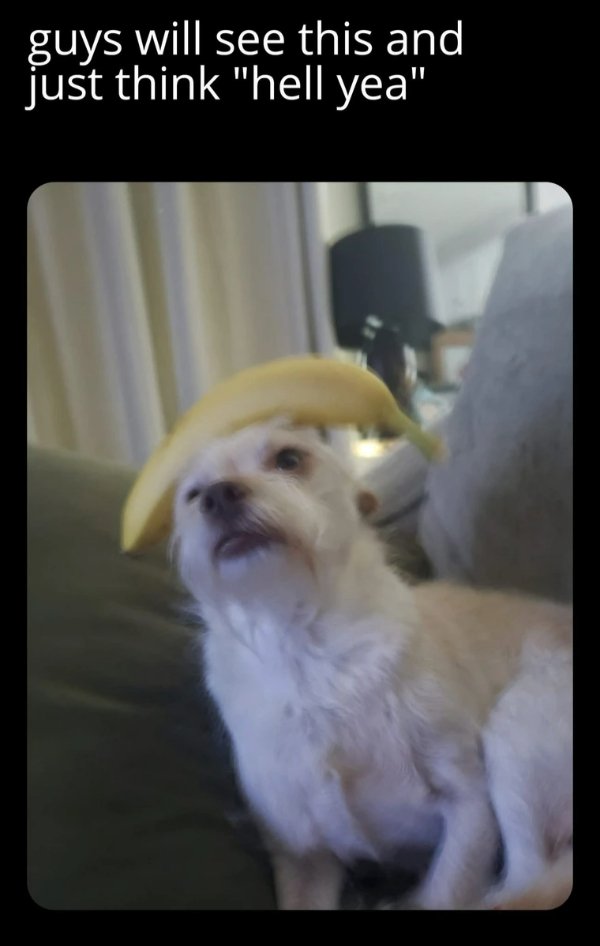 Funny Memes (28 pics)