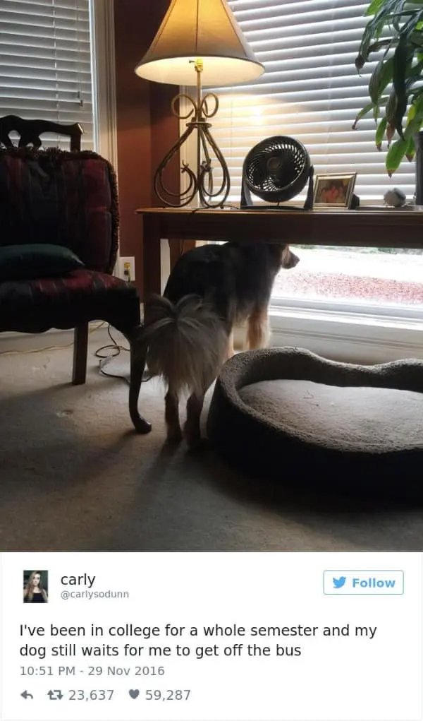 Kind Memes (49 pics)