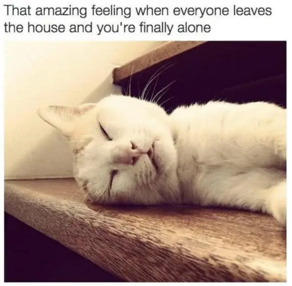 Kind Memes (49 pics)