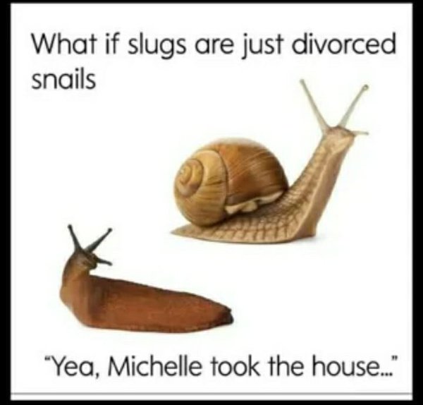 Random Memes (35 pics)