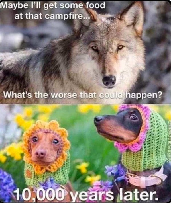 Kind Memes (37 pics)