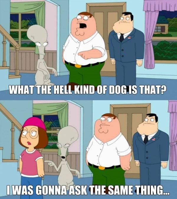 Memes For ''Family Guy'' Fans (23 pics)