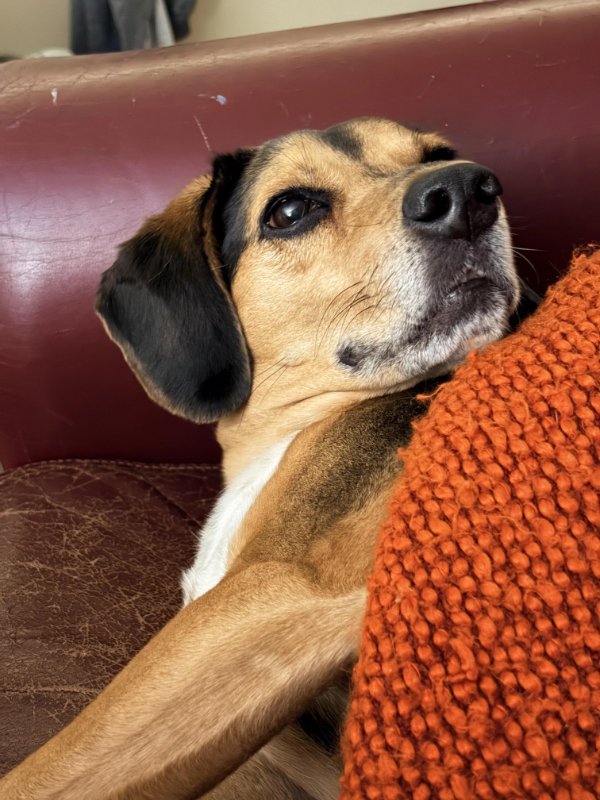 Annoying Situations (30 pics)