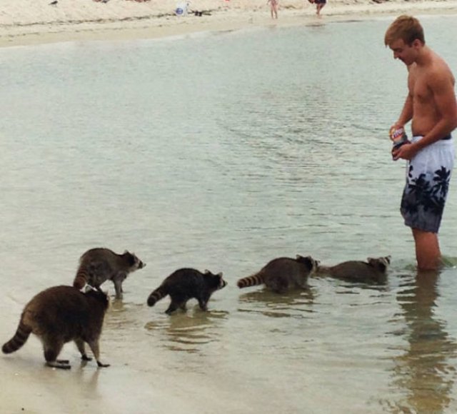Funny And Strange Situations On The Beaches (34 pics)