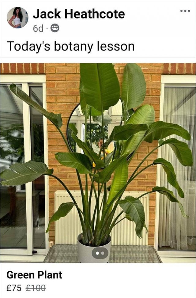 Weird Products On The Internet (28 pics)