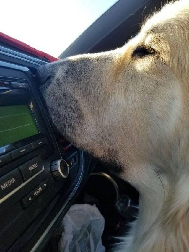 Unusual Habits 22 Pics 