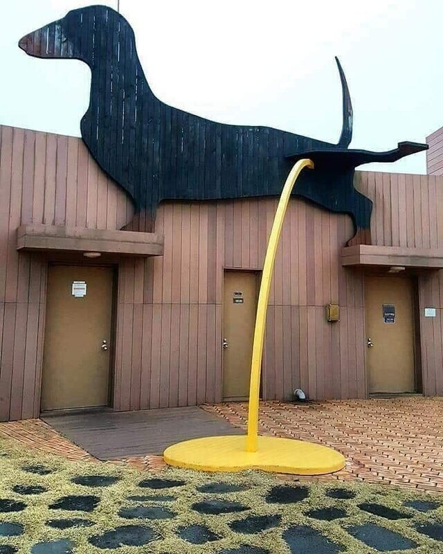 What Is Going On Here? (20 pics)