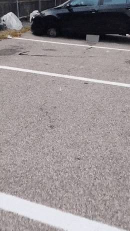 Acid GIFs, January 7 (25 gifs)