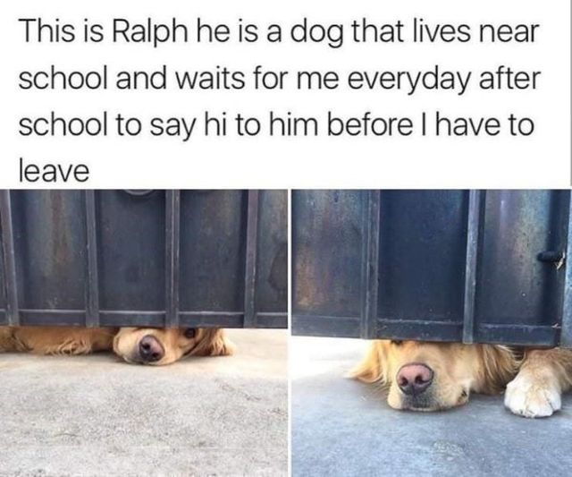 Kind Memes (37 pics)