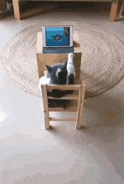 Acid GIFs, January 14 (25 gifs)