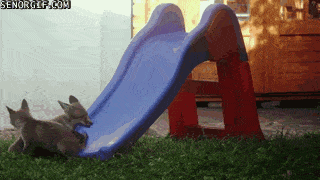 Acid GIFs, January 14 (25 gifs)