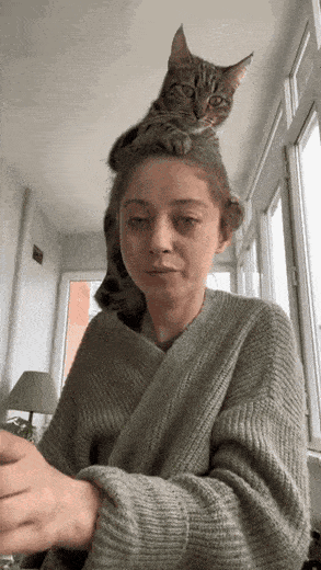 Acid GIFs, January 14 (25 gifs)