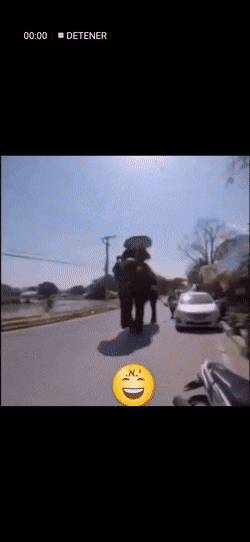 Acid GIFs, January 19 (25 gifs)